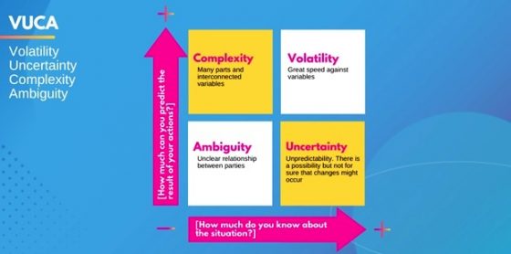What is a VUCA environment and how can it impact your company?